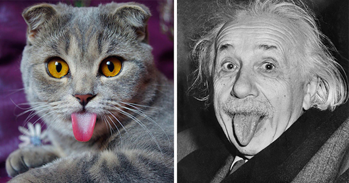 Like Alike like-alike