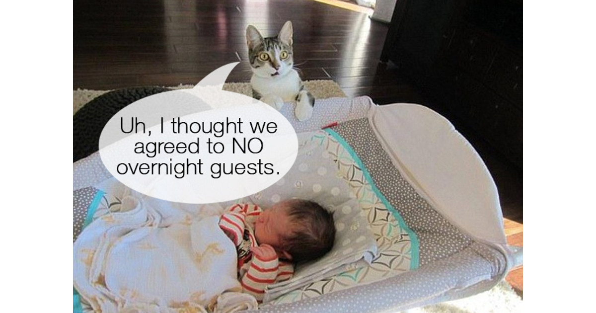 You have outstayed your welcome. 是什麼意思？ | Teacher Sammy's English ...