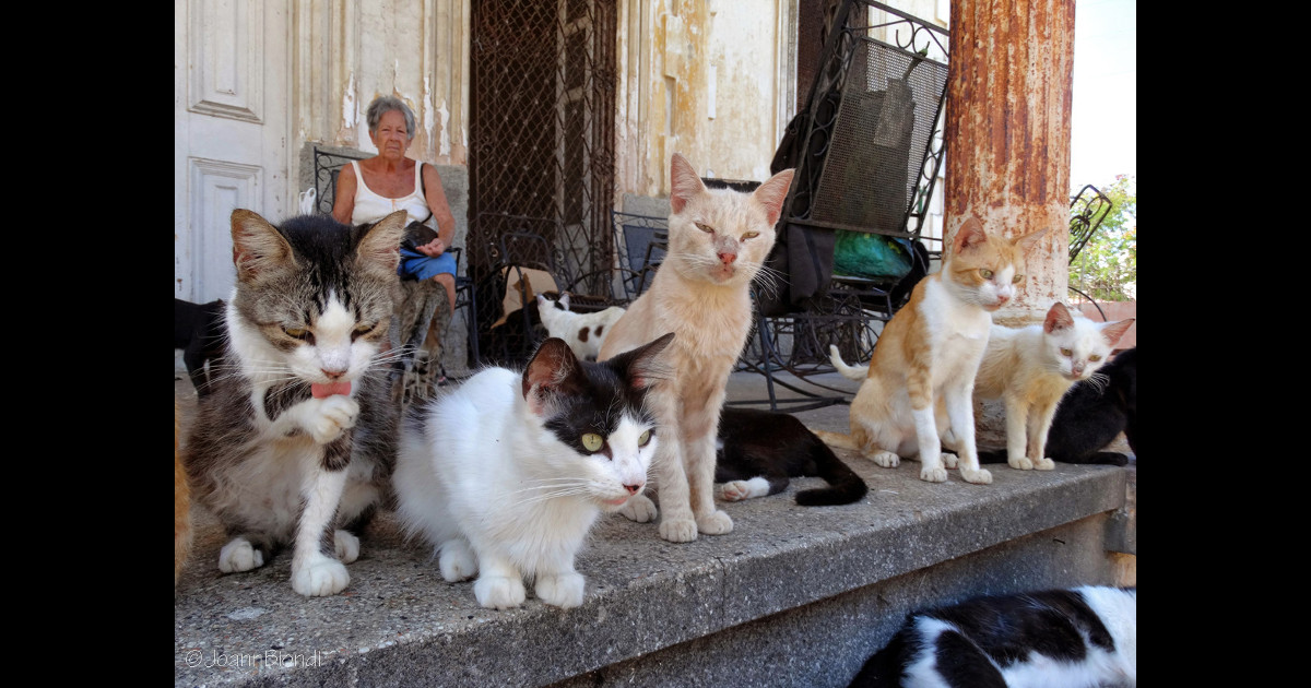 I am home. 和 I am at home. 到底哪個對？ | Teacher Sammy's English Language Blog