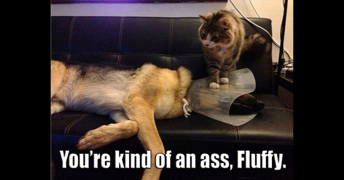 「在傷口上灑鹽」 的英文怎麼說？ | Teacher Sammy's English Language Blog