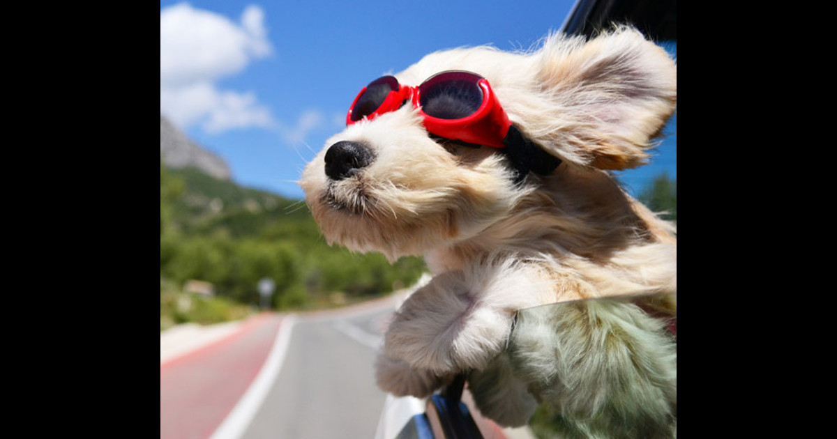 break wind 是什麼意思？ | Teacher Sammy's English Language Blog