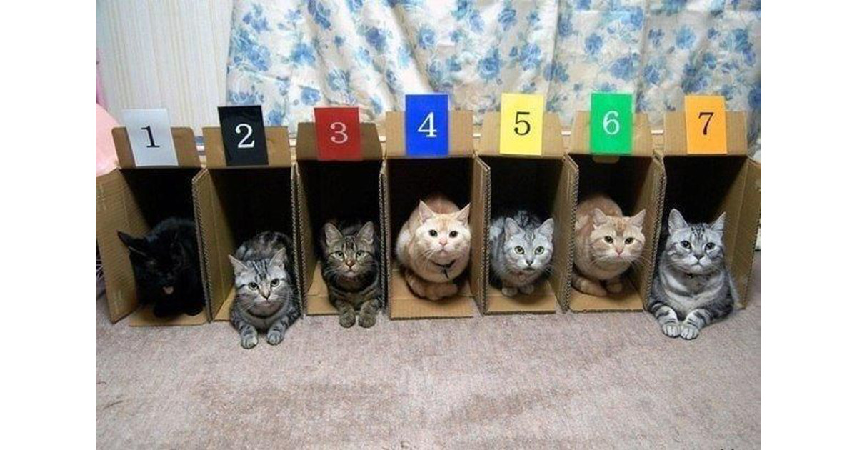 「fast-tracker」是什麼意思？ | Teacher Sammy's English Language Blog