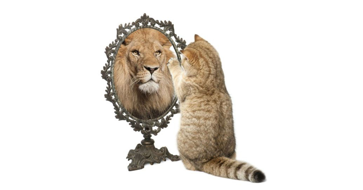 好用句：Go big or go home. | Teacher Sammy's English Language Blog