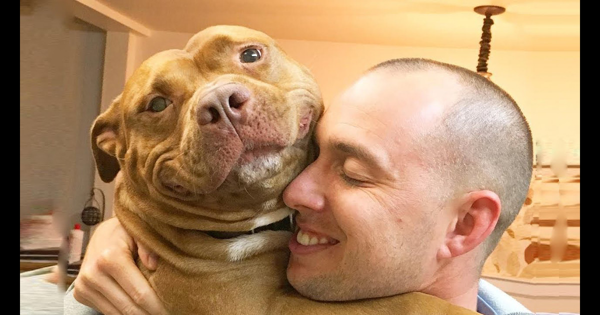 「gush over …」是什麼意思？ | Teacher Sammy's English Language Blog