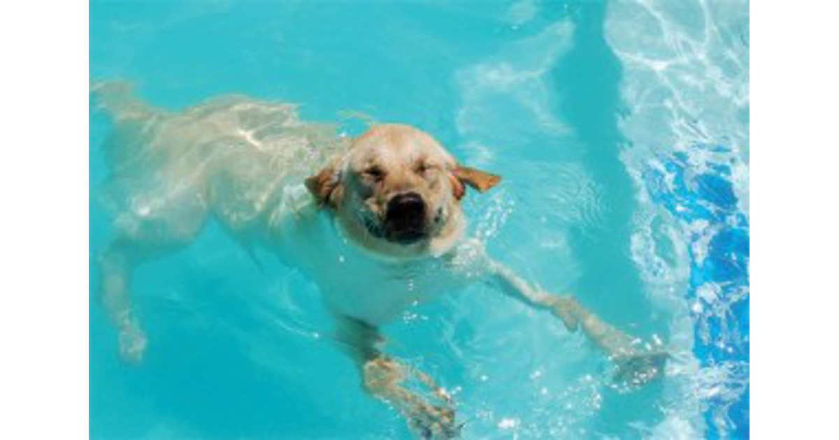 好用句：It’s not like … (or anything.) | Teacher Sammy's English Language Blog