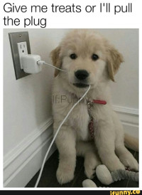 「pull the plug on something」是什麼意思？ | Teacher Sammy's English Language Blog