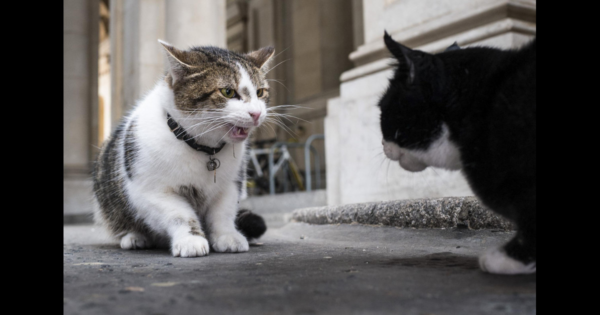 「That was uncalled for.」是什麼意思？ | Teacher Sammy's English Language Blog