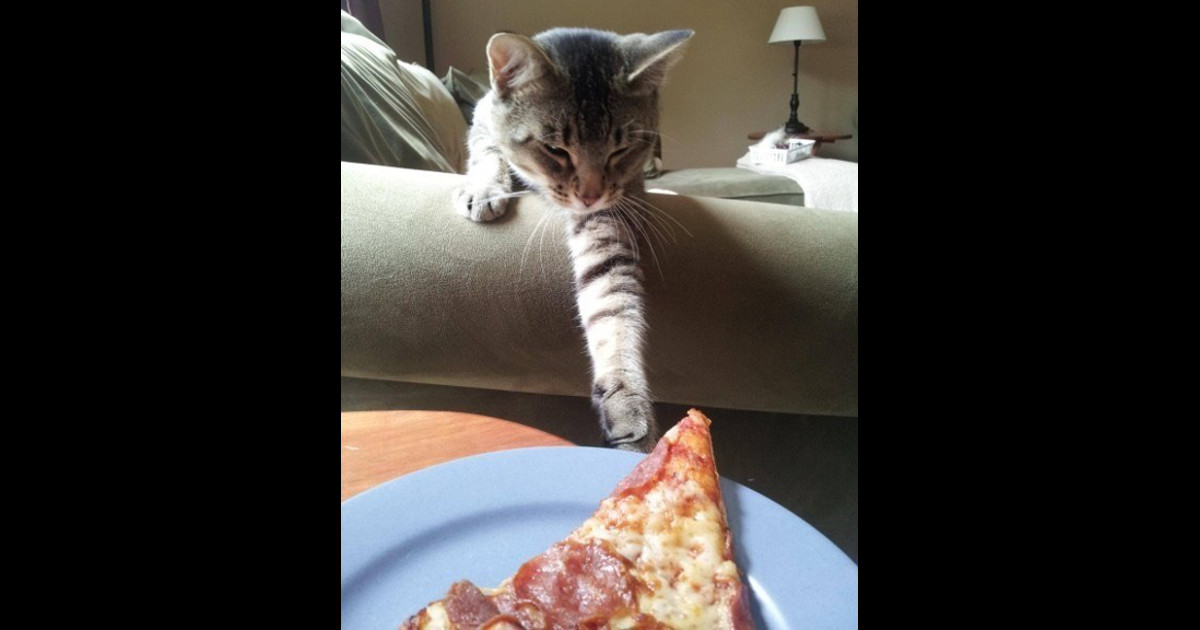 「太超過」的英文怎麼說？ | Teacher Sammy's English Language Blog